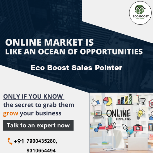 ECO Eco Boost Sales Pointer | Grow Your Business With Help of SEP ...