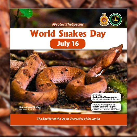 World Snake Day: A Cautionary Reminder to Slow Down and Look Around ...