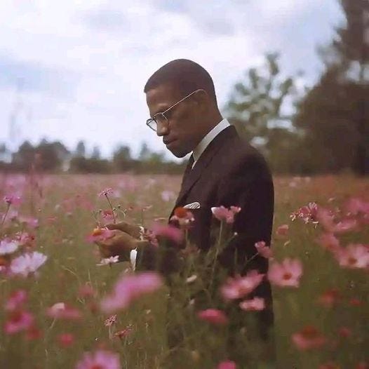 A Renewed Sense of Purpose: Malcolm X’s Walk in the Field | by Shamarie ...
