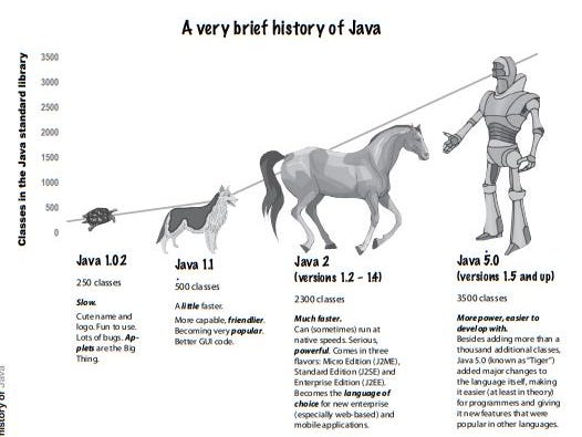 Chapter 1 :Breaking the Surface. Java is a programing language and ...