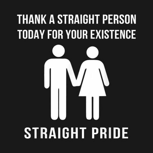 Thank a Straight Person Today for Your Existence: Exploring the ...