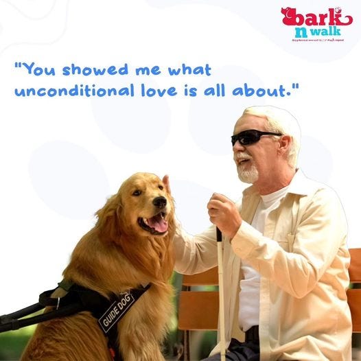 Top 10 Unique Tips for Dog Care - barkn walk - Medium