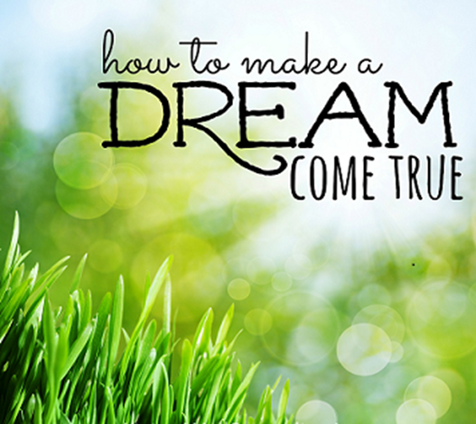 Can a Dream Turn To Reality?. What and why do we dream? | by Dipali A ...