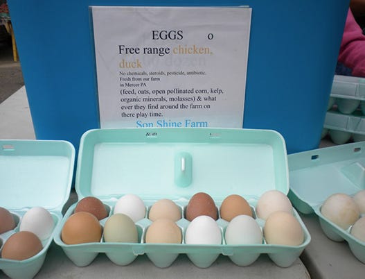 The global egg processing market is gaining surplus demand with the ...