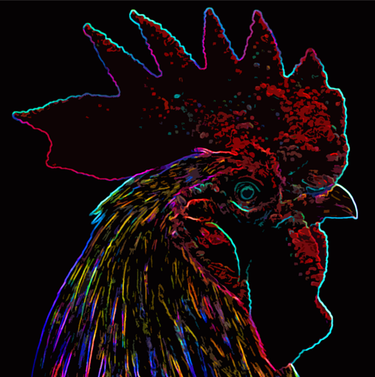 Coxcomb. A poem by Gretchen Primack | by John Brantingham | The Journal ...