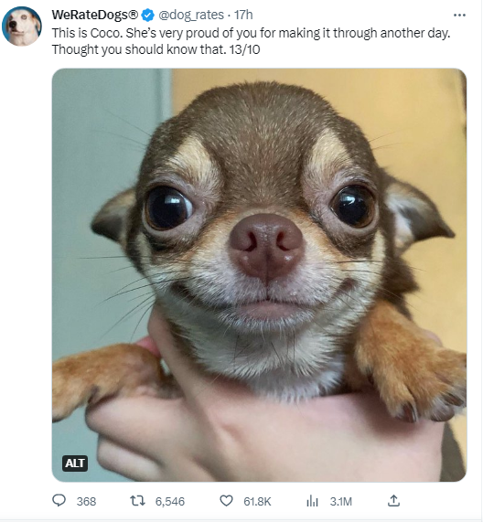 DATA WRANGLING WITH PYTHON: WeRateDogs Tweet Archive | by Samueloyedele ...