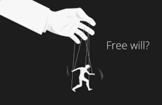 Do You Have Free Will?. Do humans have free will? Did you… | by SJ ...