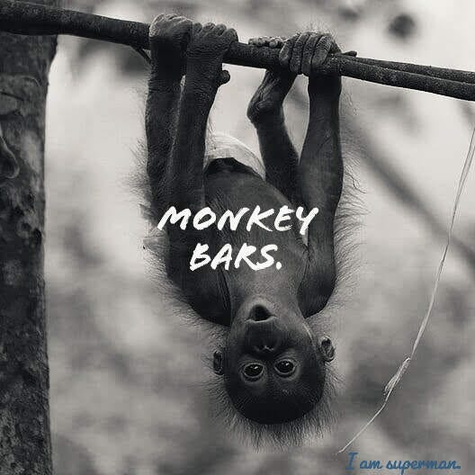 MONKEY BARS.. There I was, questioning whether it was… | by Mike Nzuki | Medium