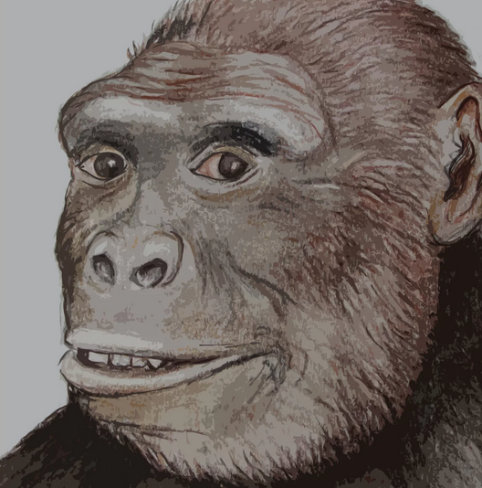 The First Human on Earth. We are seated in the reception room of… | by ...