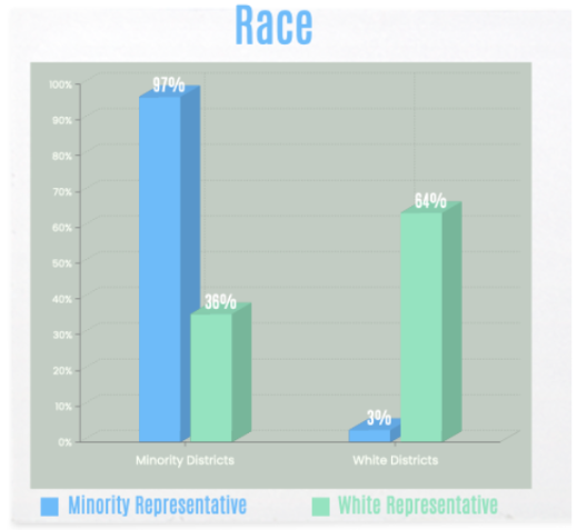 From Identity to Influence: A Study of Descriptive Representation in ...