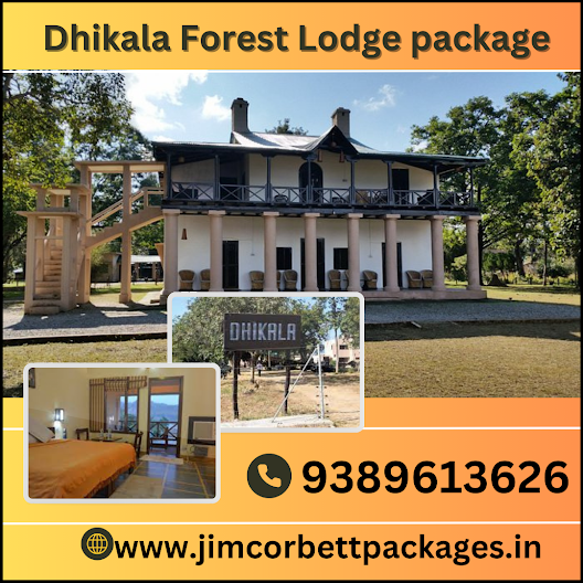 Discover Unforgettable Adventures with Dhikala Forest Lodge Packages ...