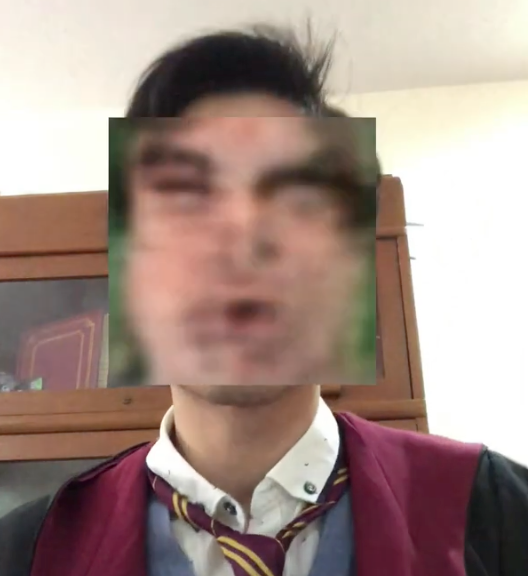 Polyjuice! My First ML Project. A Faceswap Application. | by Timothy ...