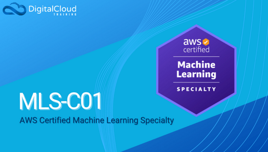 Ace the AWS Certified Machine Learning — Specialty Exam (2025) with 300 ...