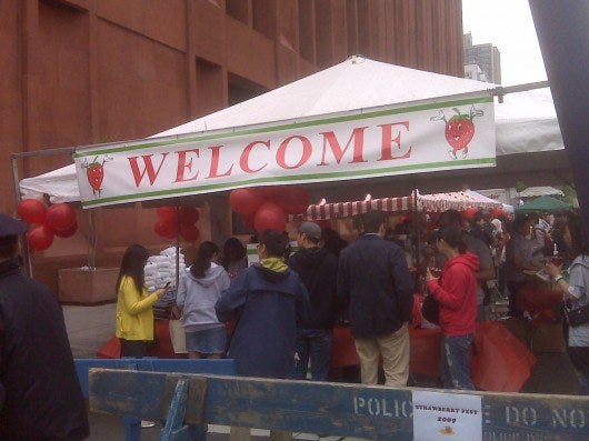 Strawberry Fest: Collective Trough Dining for All! | by NYU Local | NYU ...