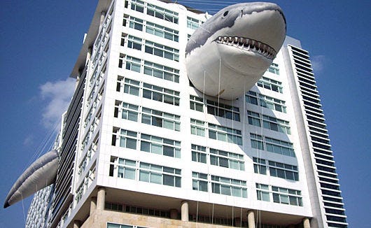 Live Every Week Like It’s Shark Week! How We Celebrated the Tribe at ...