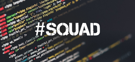 UMA ORGANIZAÇÃO DEFINIDA POR SQUADS | by Gustavo de Boer Endo | Medium
