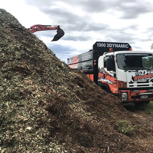 Reviving Your Landscape: The Importance of Tree Removal and Mulch ...
