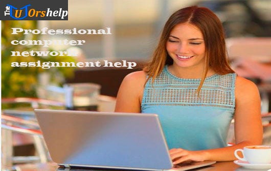 Professional computer network assignment help | by Adammaxaleo | Dec, 2023 | Medium