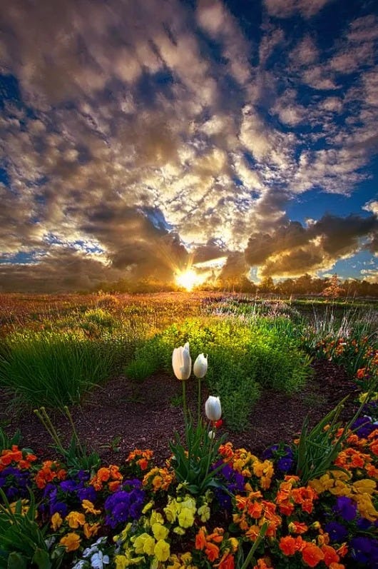 Who is God?. I think that my very first post should… | by Timothy J ...