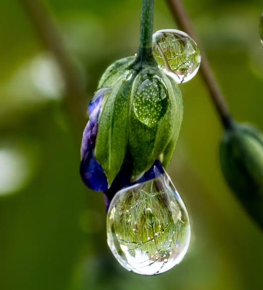 “Nourishing the Soul: Why Tears Are the Raindrops of Growth” | by ...