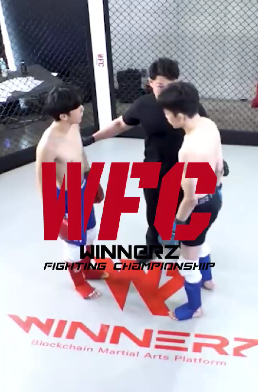 2nd shorts video of WFC01 - Winnerz - Medium