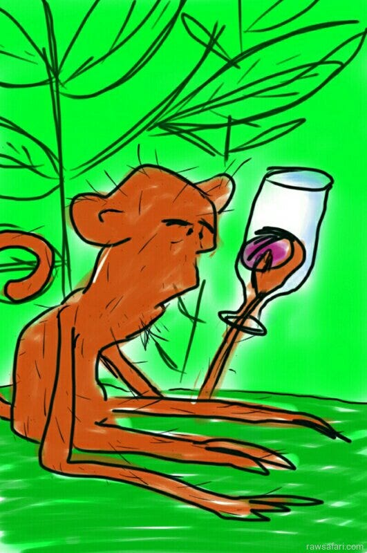 About monkey traps. The trapper places a small bottle at… | by Emmanuel ...