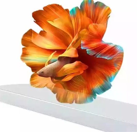 5 Ways to Choose a Quality OLED TV Transparent Monitor | by chenxin ...