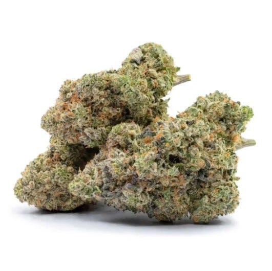 A Cannabis Odyssey: Bulk Weed BC’s Journey Through BC’s Cultivation ...