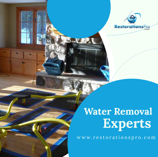 Water Removal Experts - Restorationspro - Medium