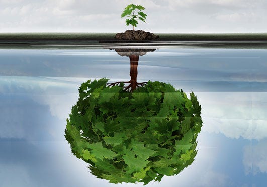The Closed Loop — How Beliefs Create and Change Your Reality | by Angus ...