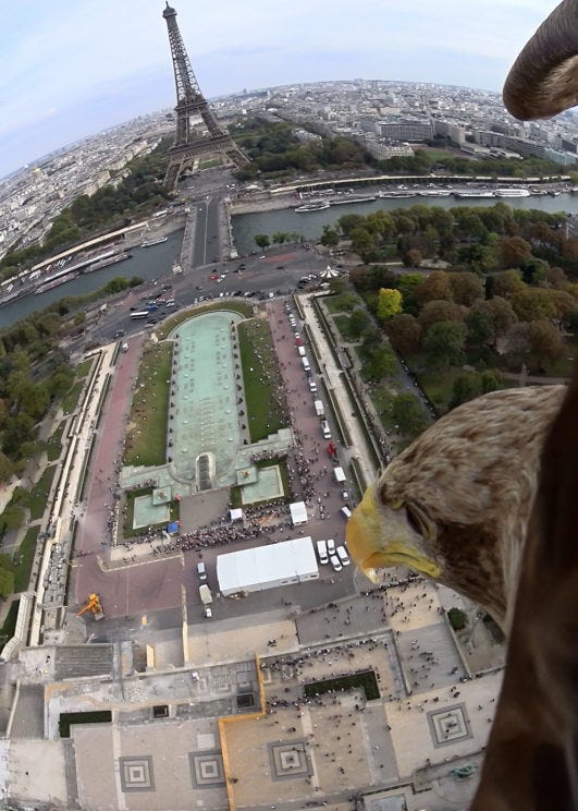 Bird’s-Eye View Of Artificial Intelligence, Machine Learning, Neural ...