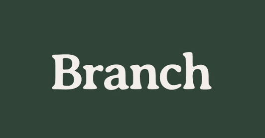Meet Branch: Announcing Our New Brand And Seed Raise | by Greg Hayes ...
