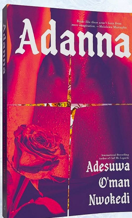 Book Review- Adanna. I came across a review on Instagram and… | by Fav ...