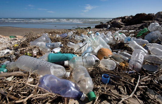 How Can YOU Keep the Oceans Clean? | by Emily Provencher | Medium