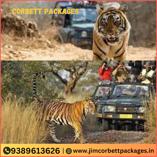 Welcome to the Adventure of a Lifetime with Our Jim Corbett Packages! | by jim corbett packages ...