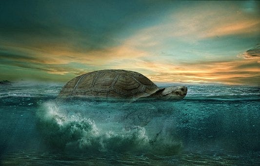 God as a Turtle. I was reading an interesting article by… | by Graham ...