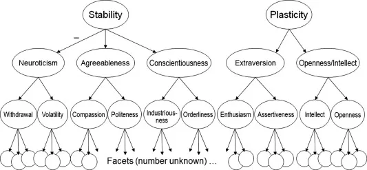 Stability and Plasticity: an intro | by Philip Fortuna | Medium