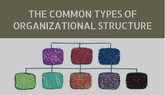 The Common Types of Organizational Structure - Affan IT - Medium