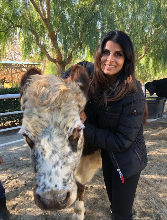 The Real Game Changer for Animal Rights | by Young Jains of America (YJA) | Young Minds