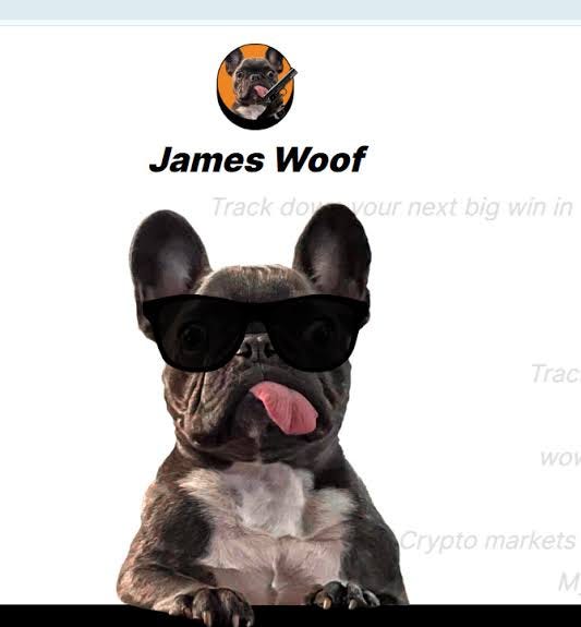 James Woof Crypto Airdrop: Easy and Effortless Crypto Mining | by ... James Woof Crypto Airdrop: Easy and Effortless Crypto Mining | by ...