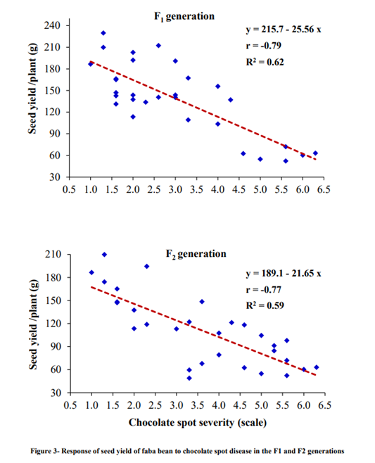 Combining Ability And Gene Action Controlling Chocolate Spot Resistance