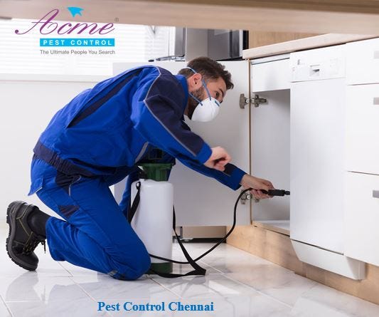 Pest Control Chennai. Acme pests control takes pride in… | by Anushka k ...