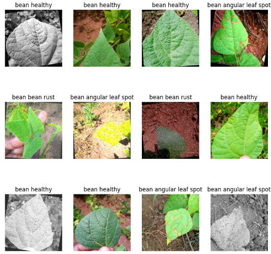 Deep Transfer Learning MobileNetV2 Model for Bean Disease Classify | by Silvia Rahma | Jul, 2023 ...