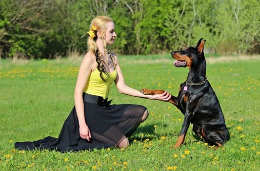 The Best Dog Breeds for Women. We, women, do have needs. We also like ...
