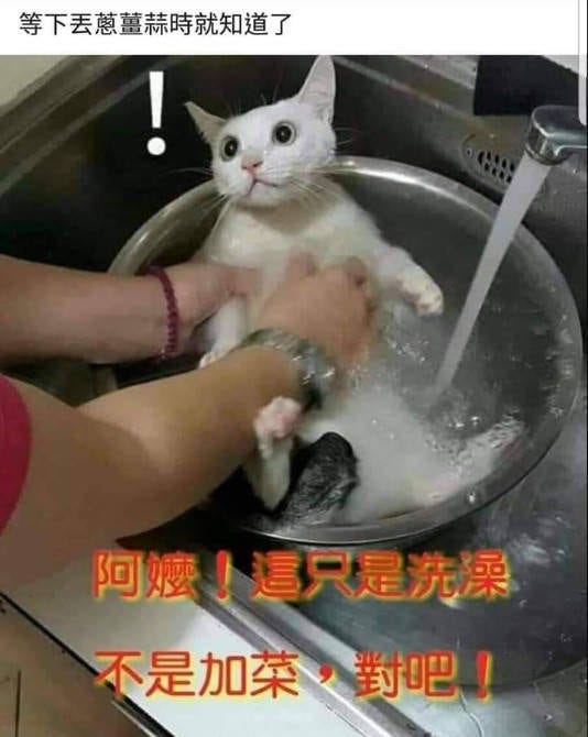 209 Minimum Size Subarray Sum — Javascript — Two Pointer Dublin So Code Medium