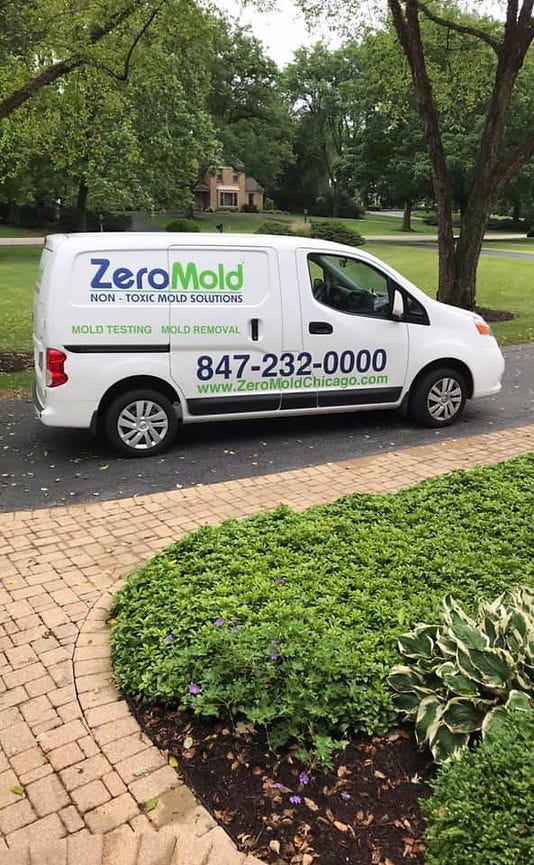 Mold Removal and Mold Remediation Services in Naperville — Zero Mold’s ...