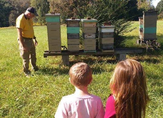 A Visit to the Bee Farm | Printable Packet | Instant Download | by ...