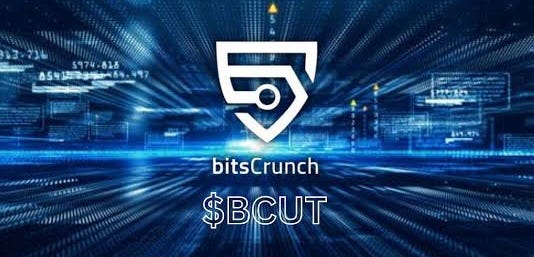 Unveiling Bitscrunch BCut: Redefining NFT Creation with Cutting-Edge ...