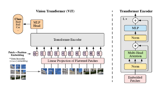 Decoding Vision Transformers: A Deep Dive into ViT and Its Multimodal ...