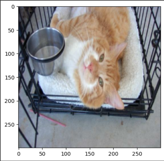 Enhancing Image Classification with Data Image Augmentation in Python ...